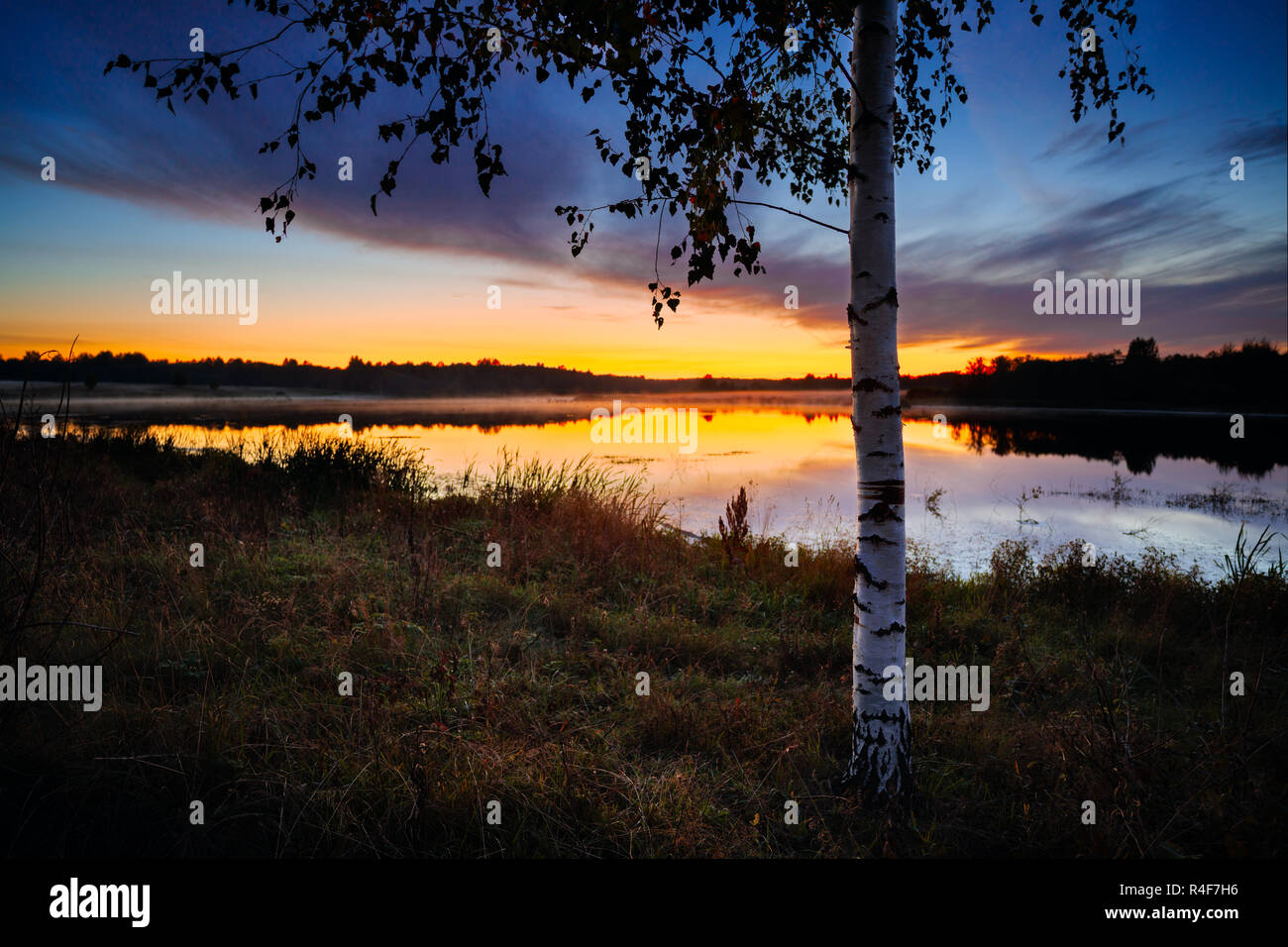 Nice summer sunset tree hi-res stock photography and images - Alamy