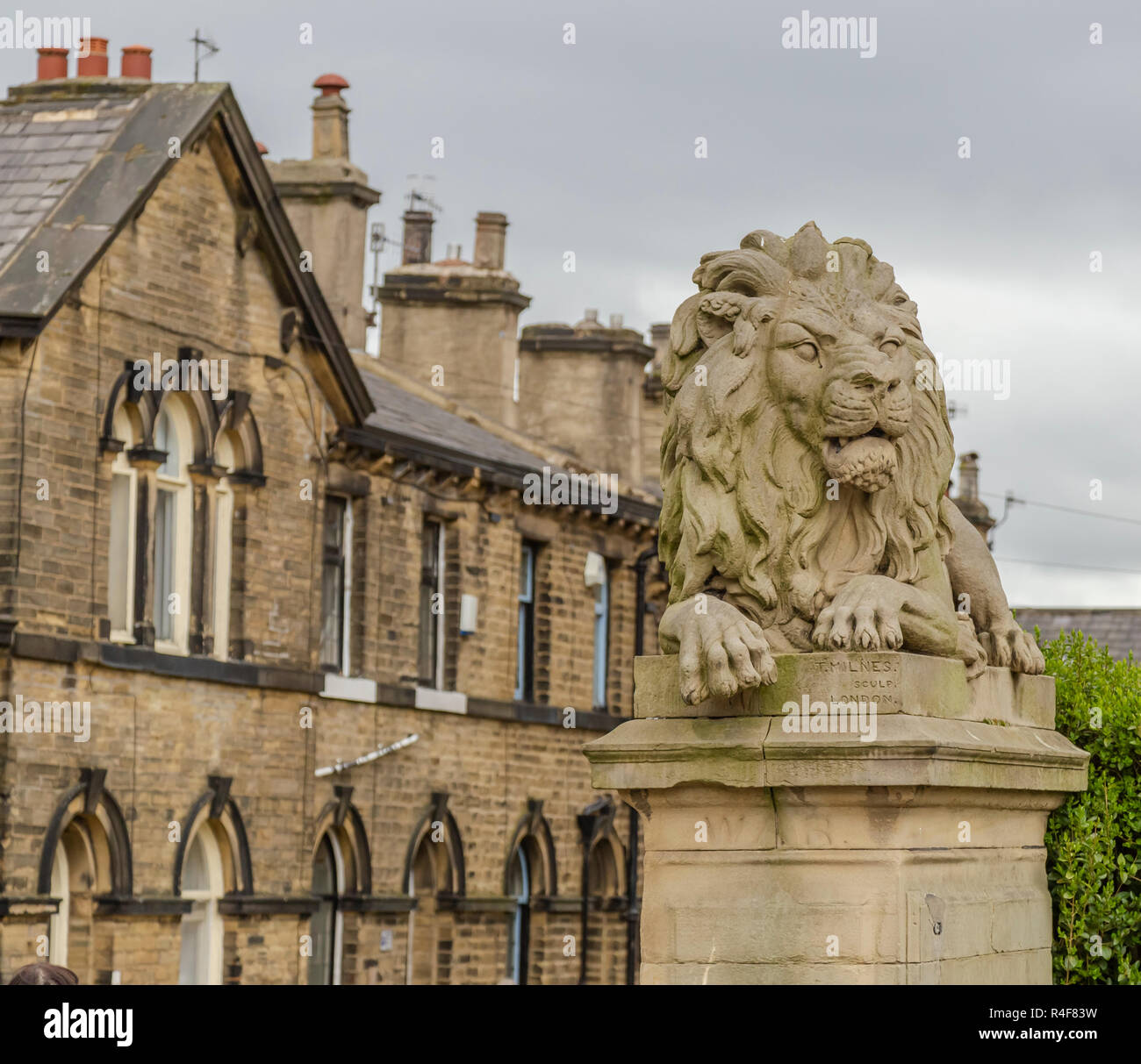 One of the Saltaire stone lions by Sculpture Thomas Milne. This one is ...
