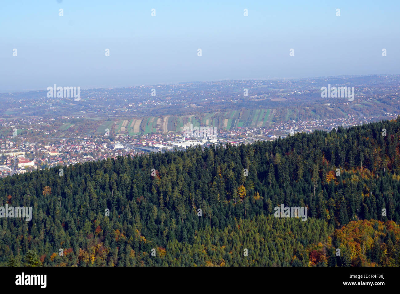 forest and the city Stock Photo - Alamy