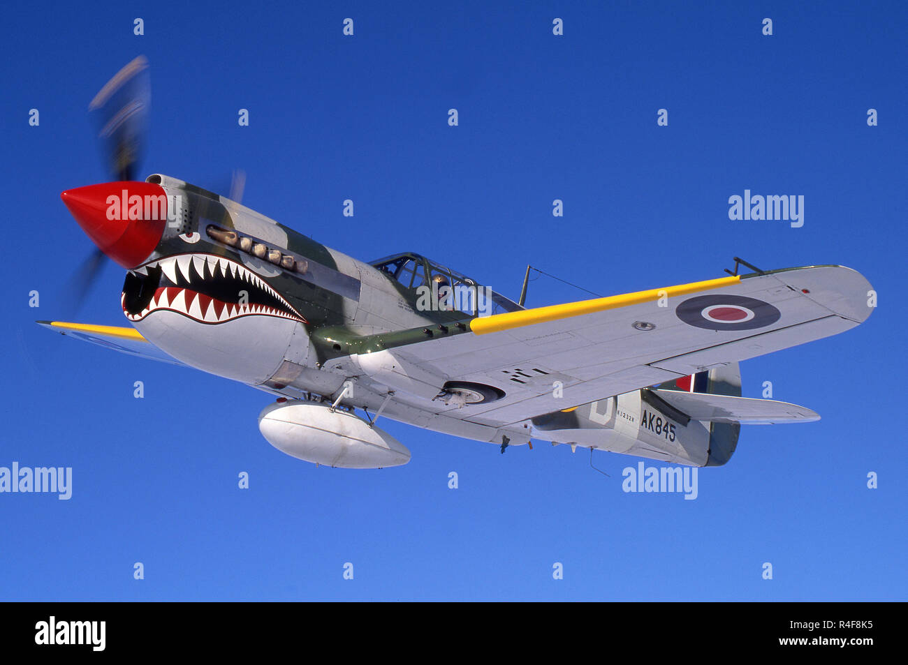 WWII Curtiss P-40 Warhawk Airplane Stock Photo - Alamy