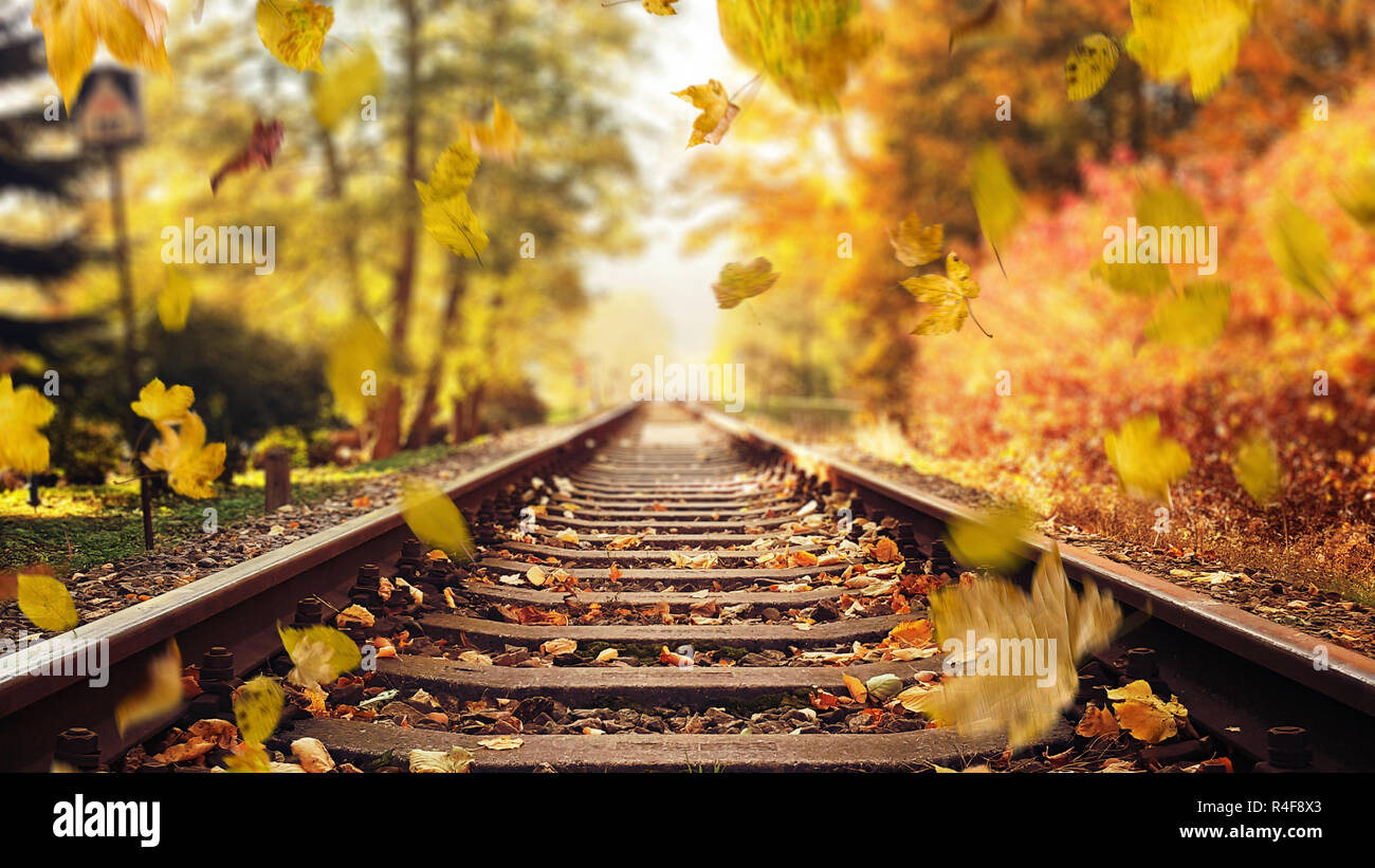 Colorful, autumn leaves falling down on railway tracks Stock Photo - Alamy