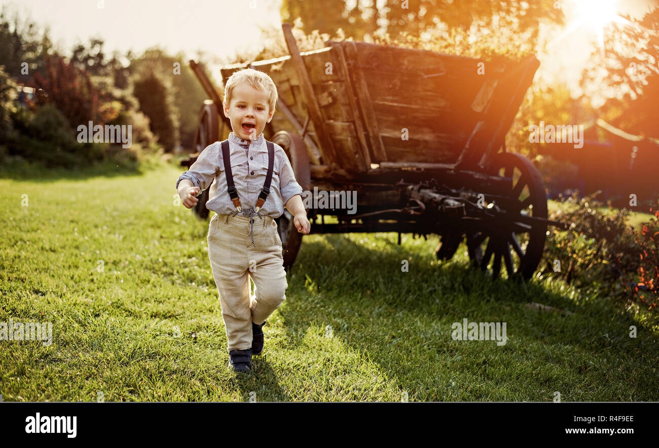 Leaves child on carriage hi-res stock photography and images - Alamy