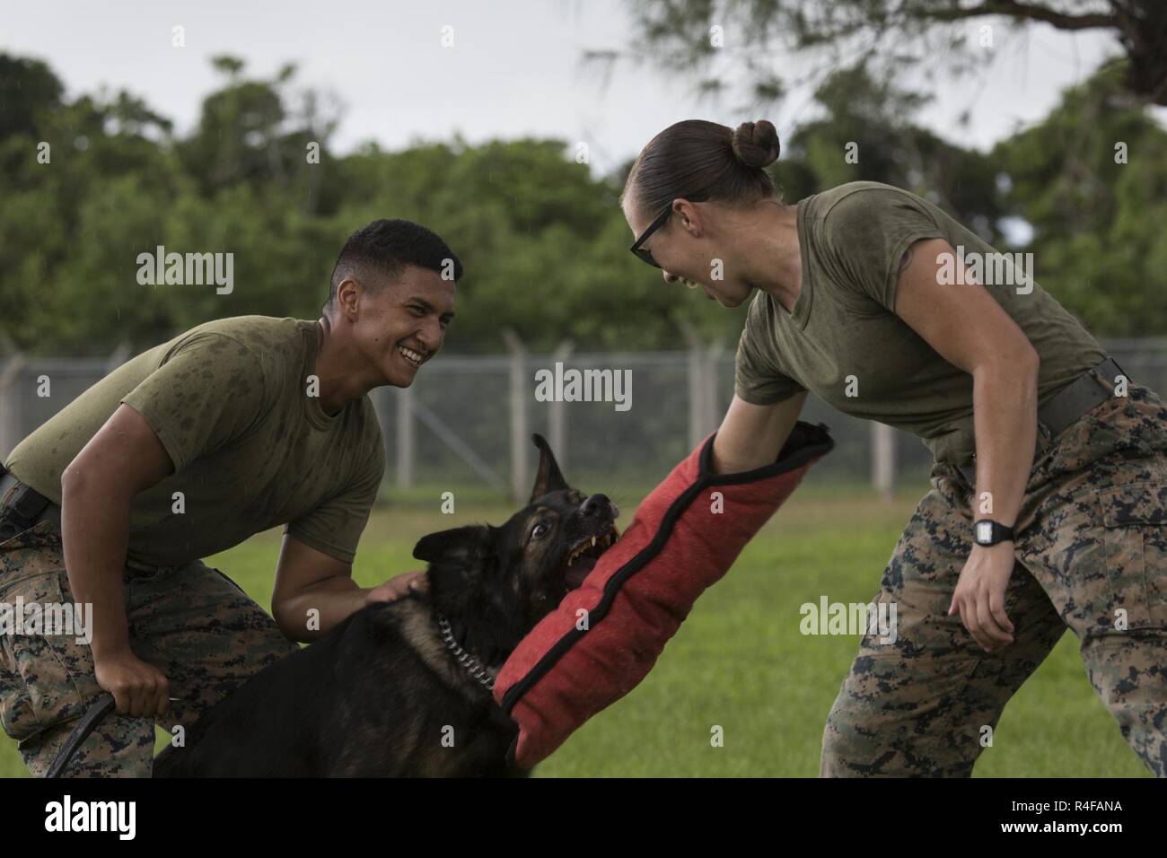 U.S. Marine Lance Cpl. Christopher Ramos, dog handler, with Provost ...