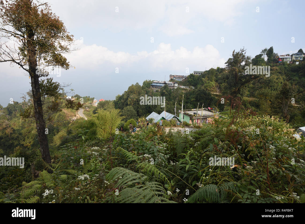 Rishyap - a small village and hill station in Kalimpong district of ...