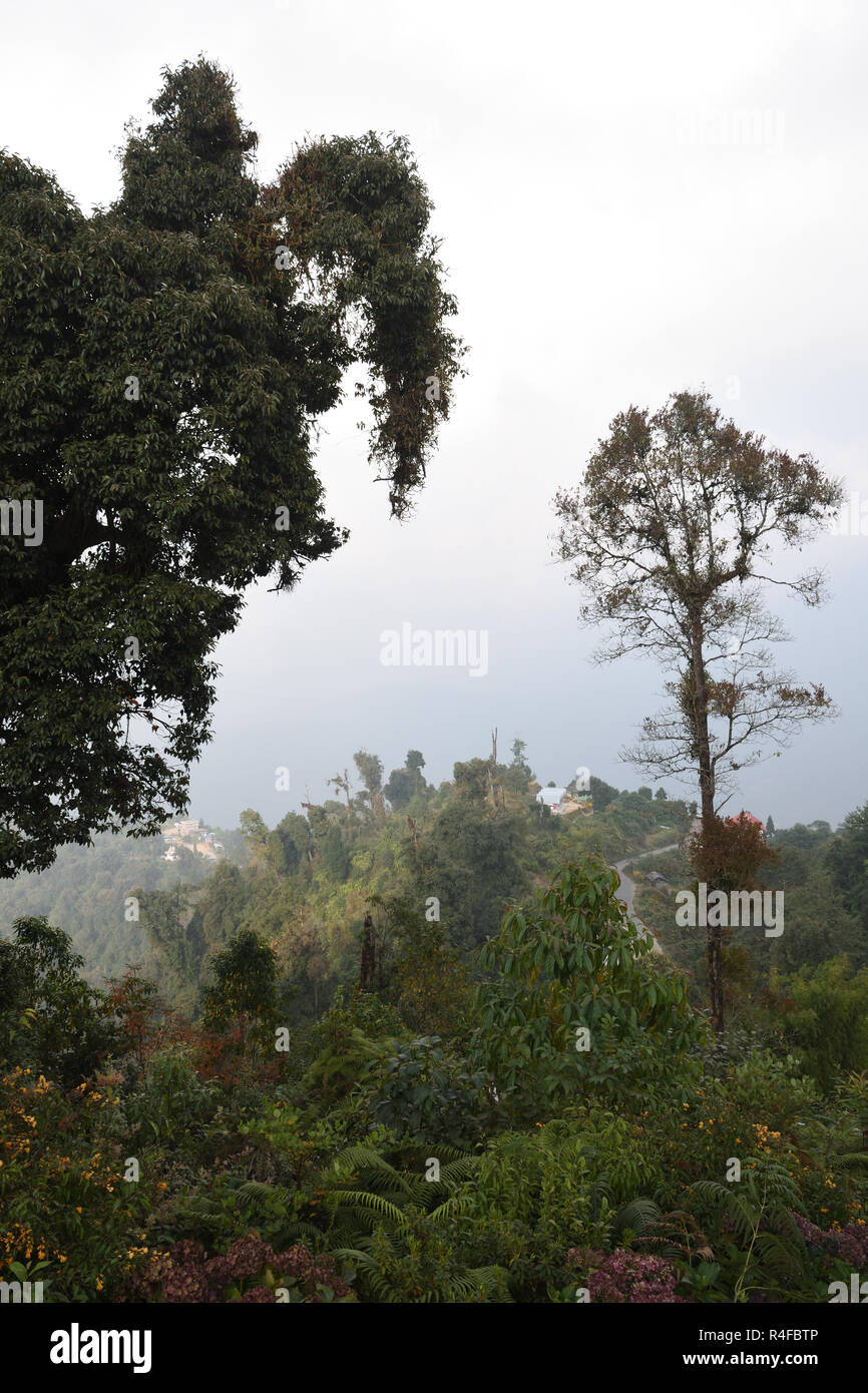 Rishop High Resolution Stock Photography and Images - Alamy