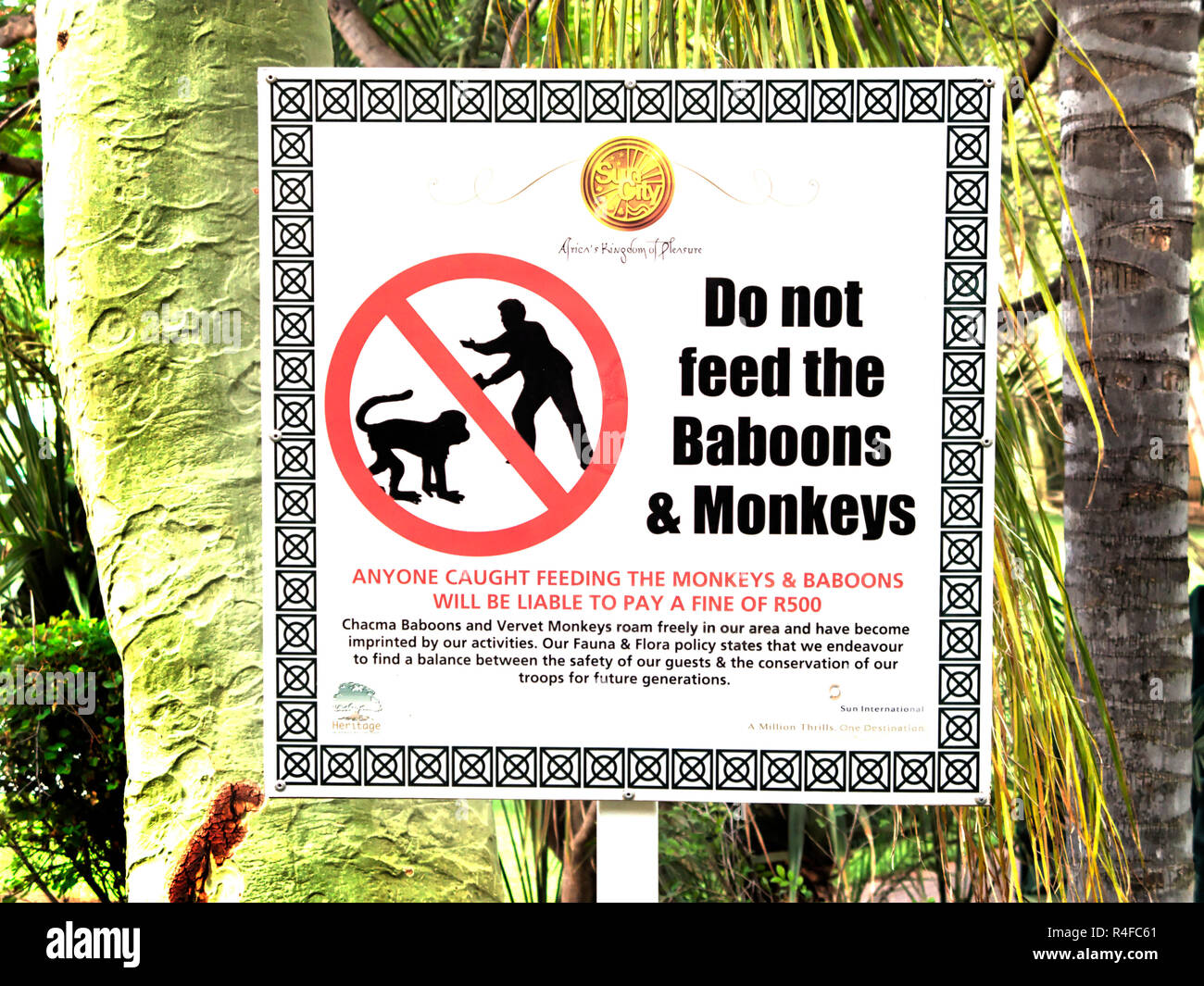 No feeding sign hi-res stock photography and images - Alamy