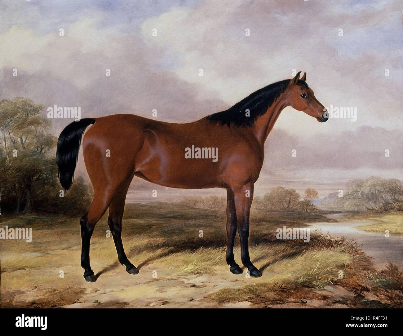 Barraud w hi-res stock photography and images - Alamy