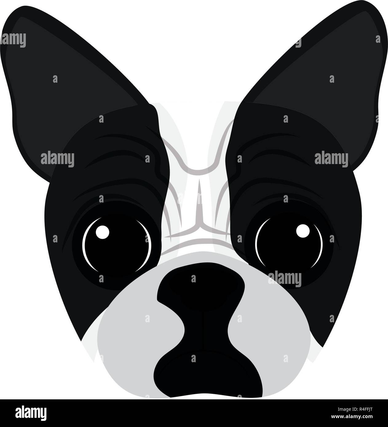 cute boston terrier head vector illustration design Stock Vector Image ...