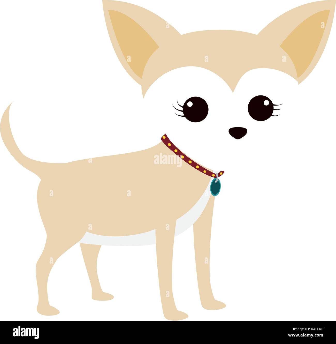 cute miniature chihuahua pet vector illustration design Stock Vector ...