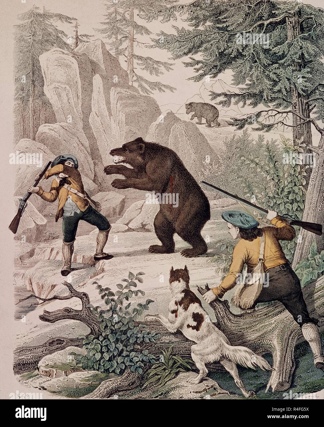 Oso atacando hi-res stock photography and images - Alamy