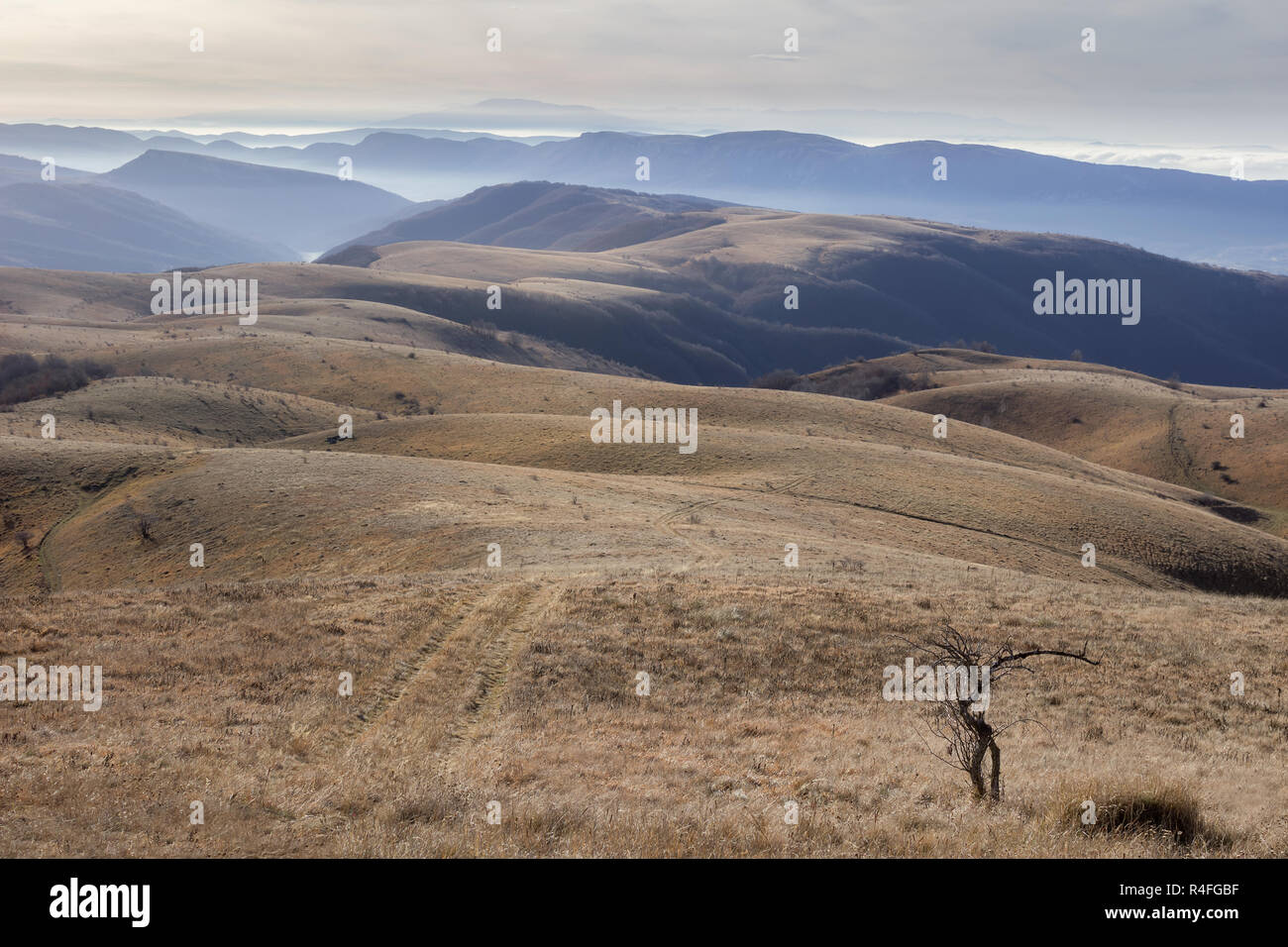 Endless fields of grass hi-res stock photography and images - Alamy