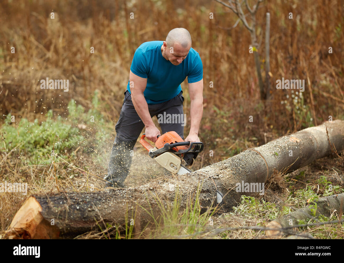 Strong lumberjack chainsaw working hi-res stock photography and images ...