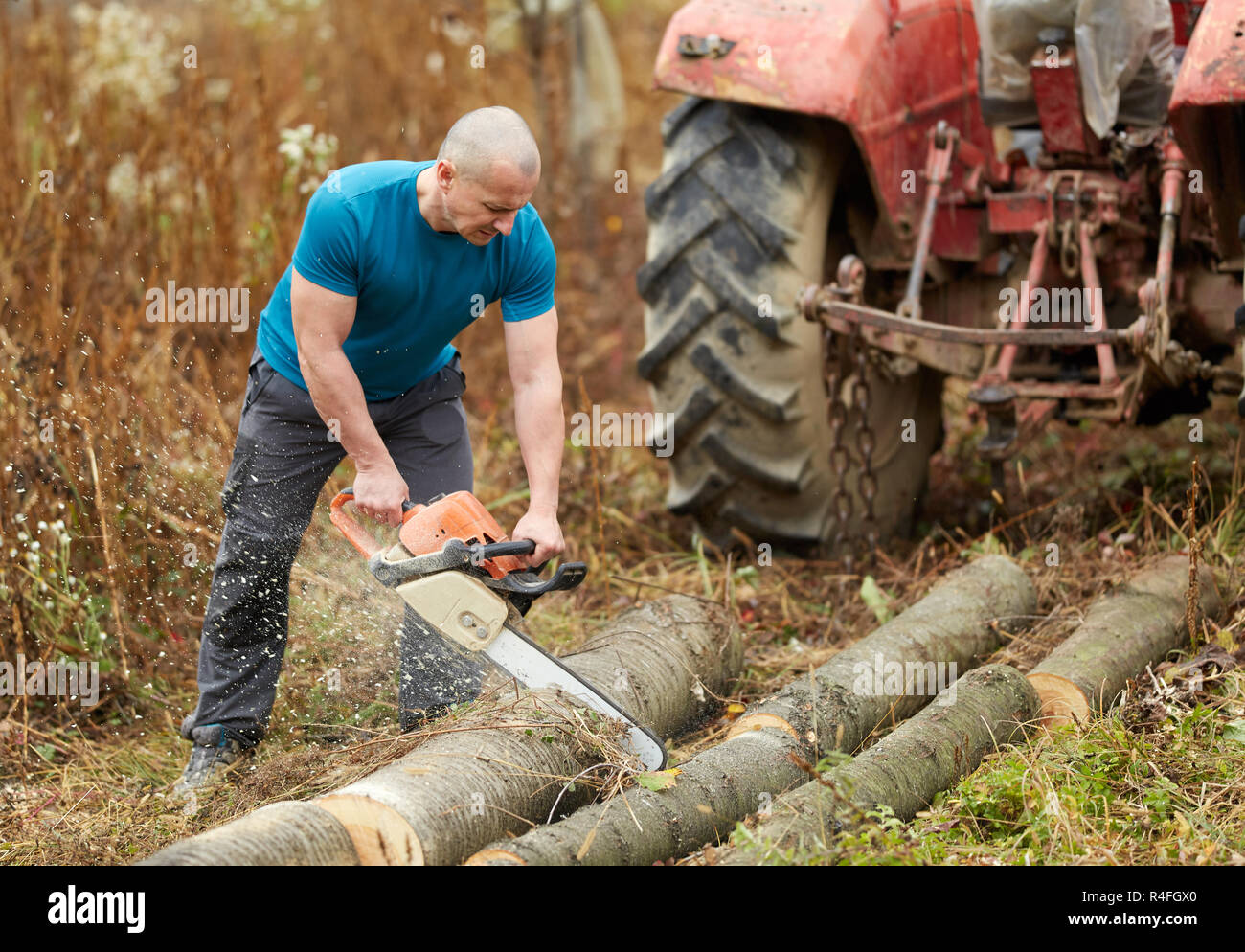 Strong lumberjack with chainsaw, working on logs Stock Photo - Alamy
