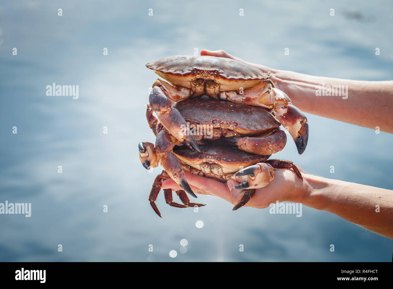 Light supper together hi-res stock photography and images - Alamy