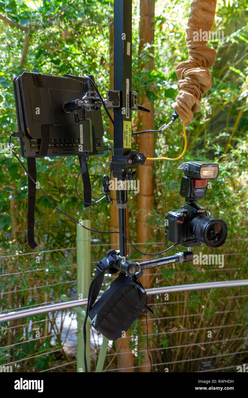 San Diego Zoo Camera Policy at Stephen Jolly blog