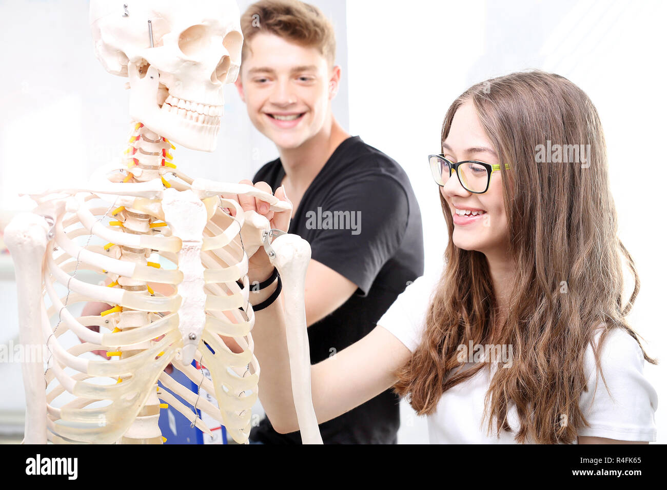 Male anatomy study hi-res stock photography and images - Alamy