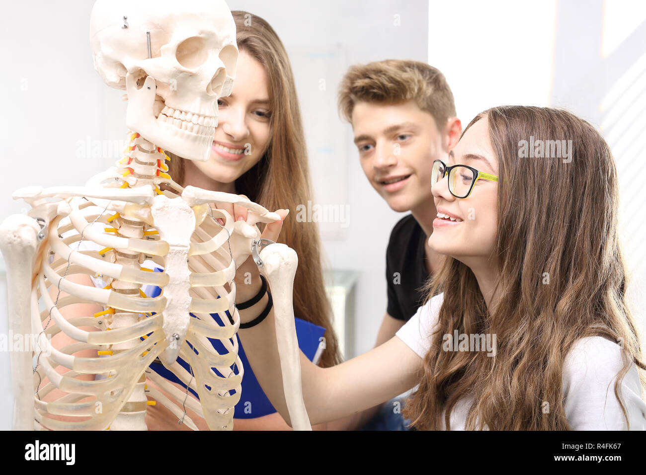 skeleton,anatomy students in class Stock Photo - Alamy