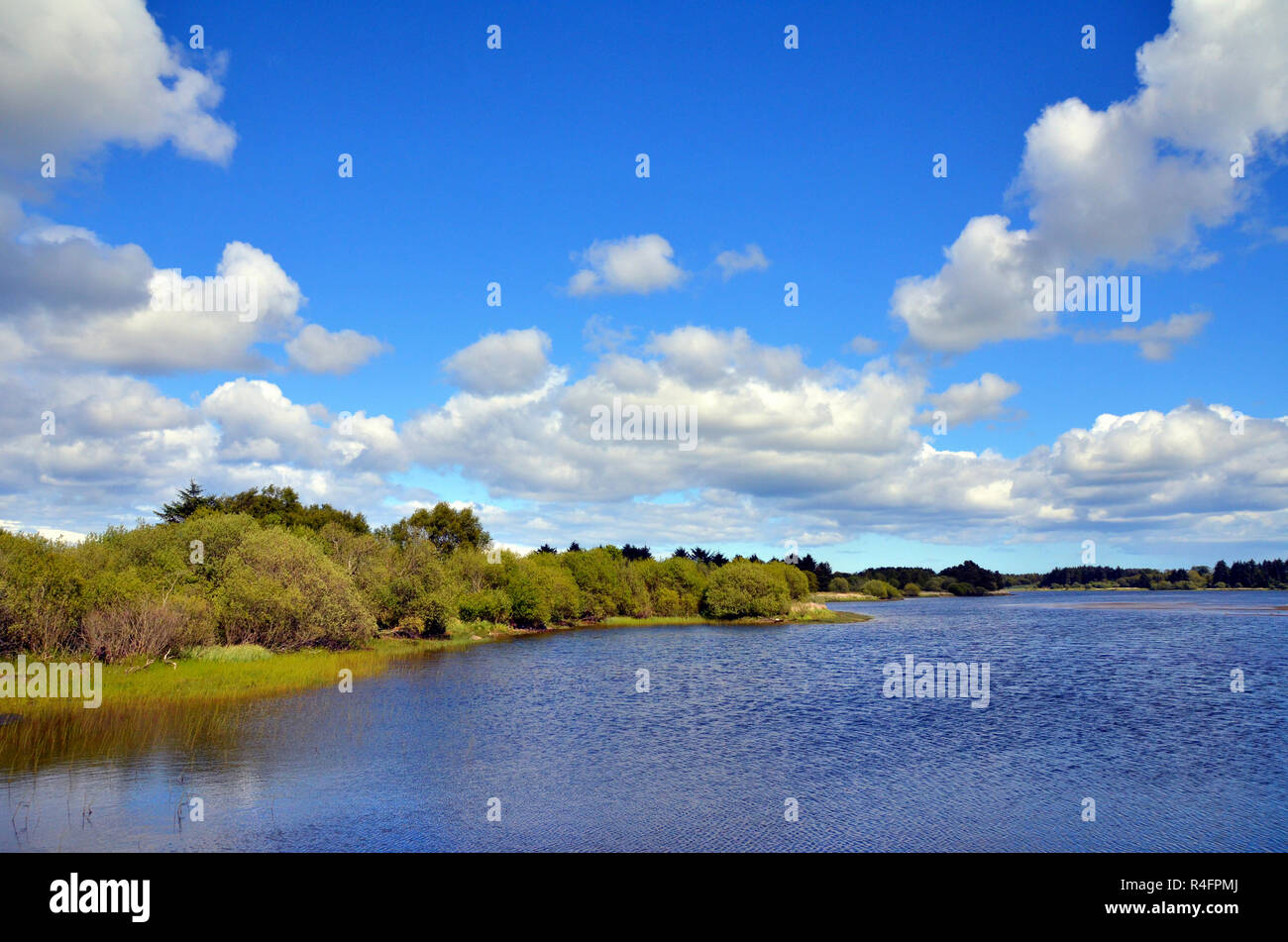 Trees near reservoir hi-res stock photography and images - Alamy