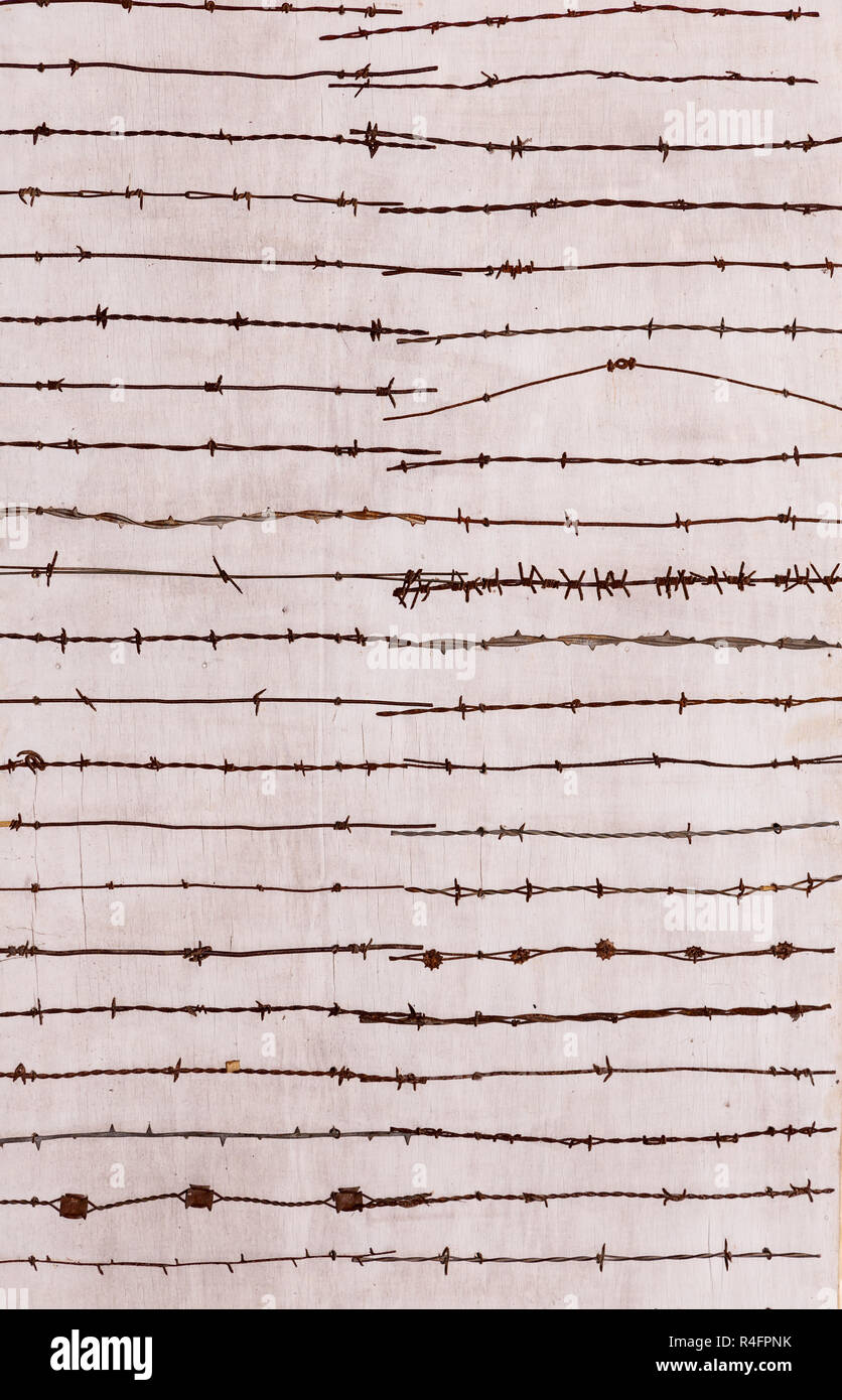 historic selection of barbed wire Stock Photo - Alamy