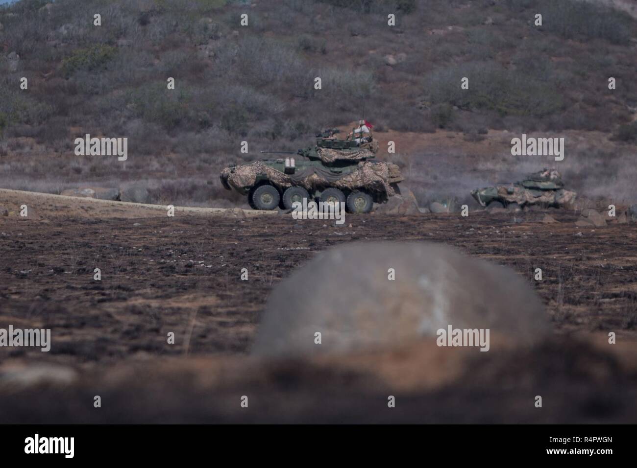Light armored vehicles (LAV-25s), with 1st Light Armored Reconaissance ...