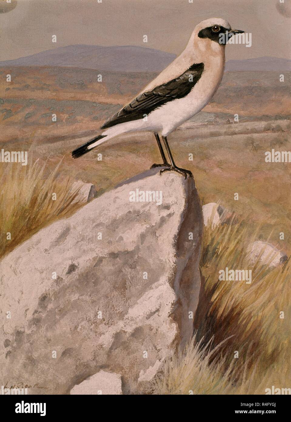 William h riddel hi-res stock photography and images - Alamy