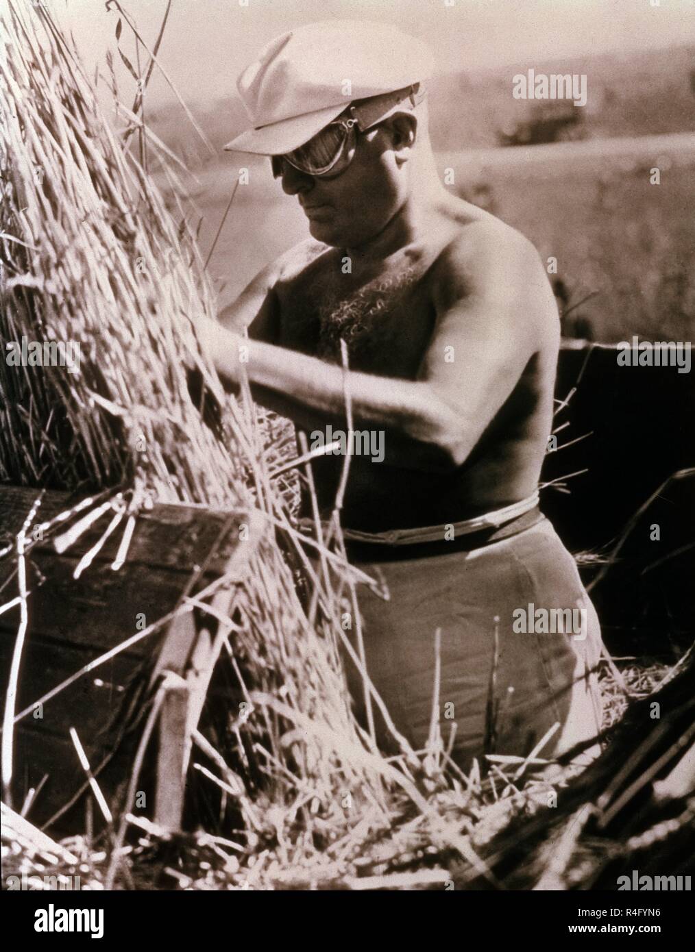 *MUSSOLINI EN LA BATALLA DEL GRANO. Location: PRIVATE COLLECTION ...