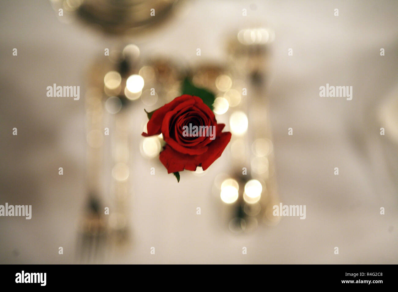 Close look at rose petals hi-res stock photography and images - Alamy