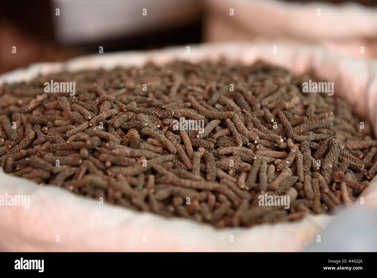 Basket of raw dried Indian long peppers, or Piper longum in a spice ...