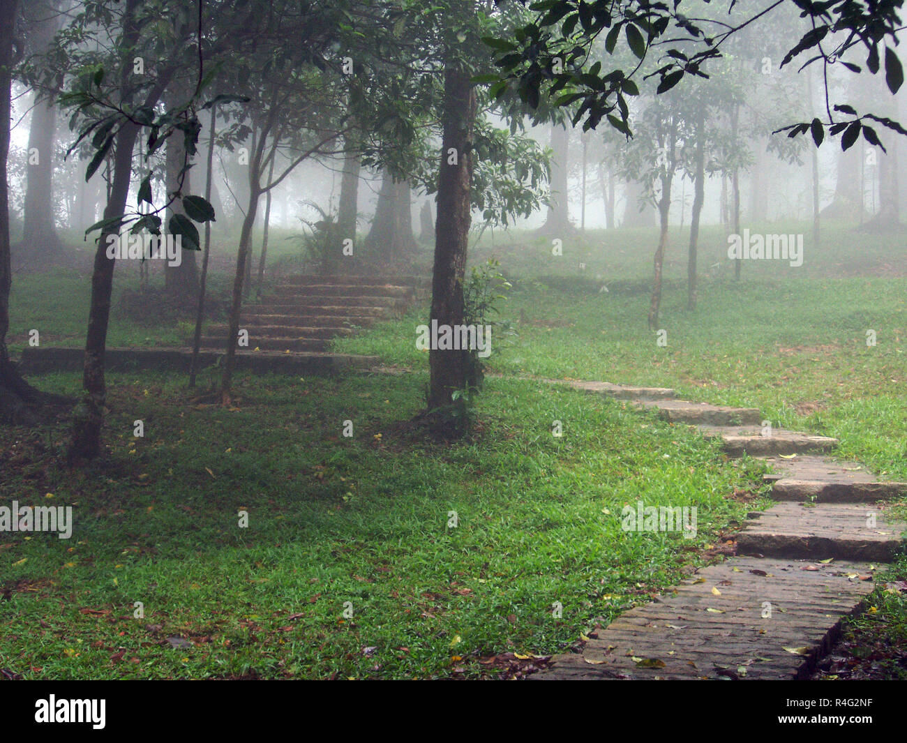 Beautiful view of nature Stock Photo - Alamy