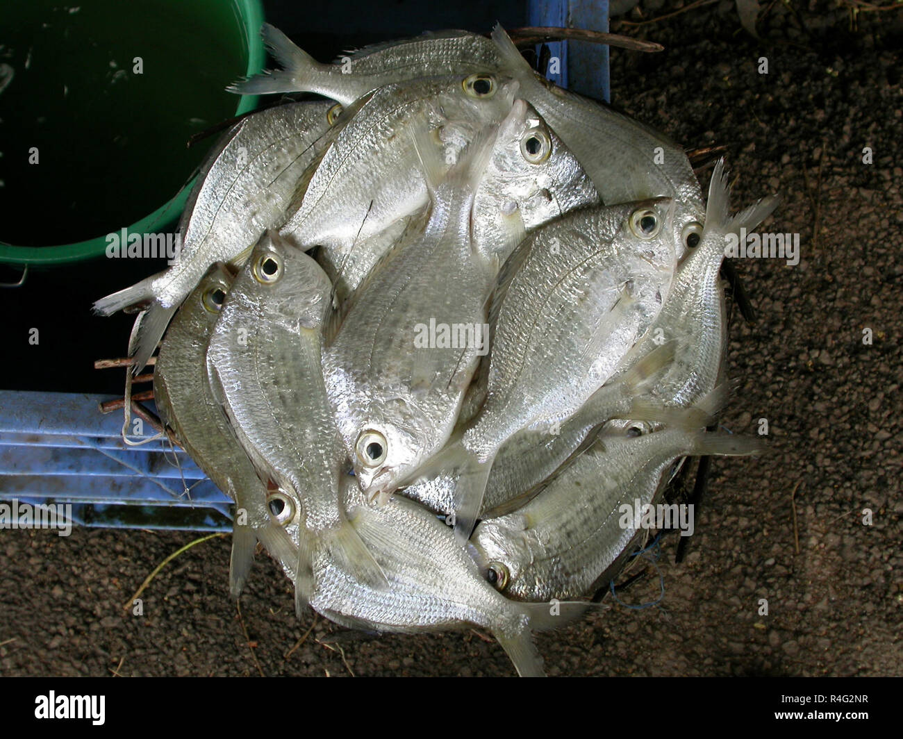 Soil exchange hi-res stock photography and images - Alamy