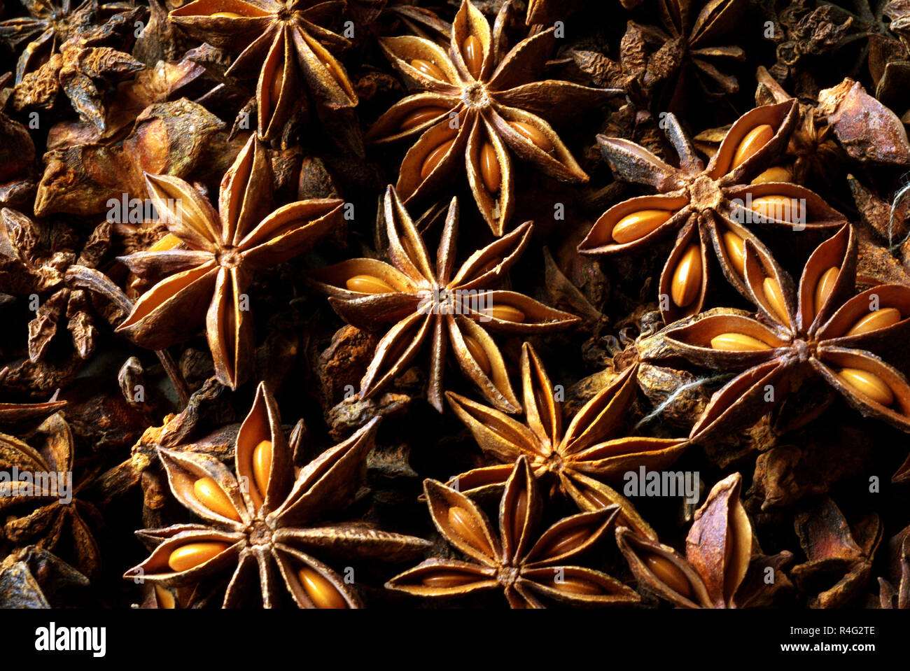 Close up of star anise Stock Photo - Alamy