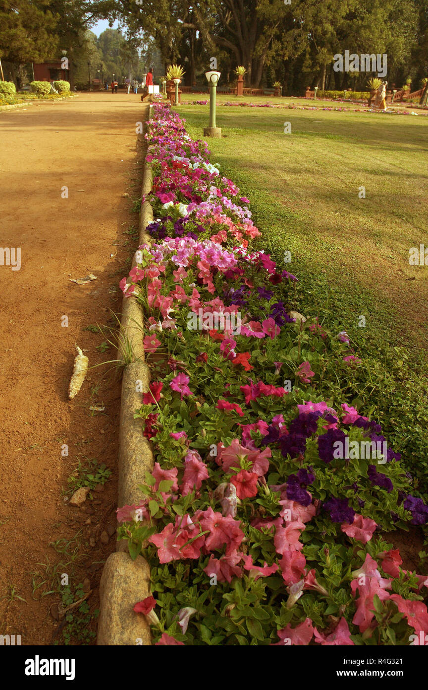 Graden plants hi-res stock photography and images - Alamy