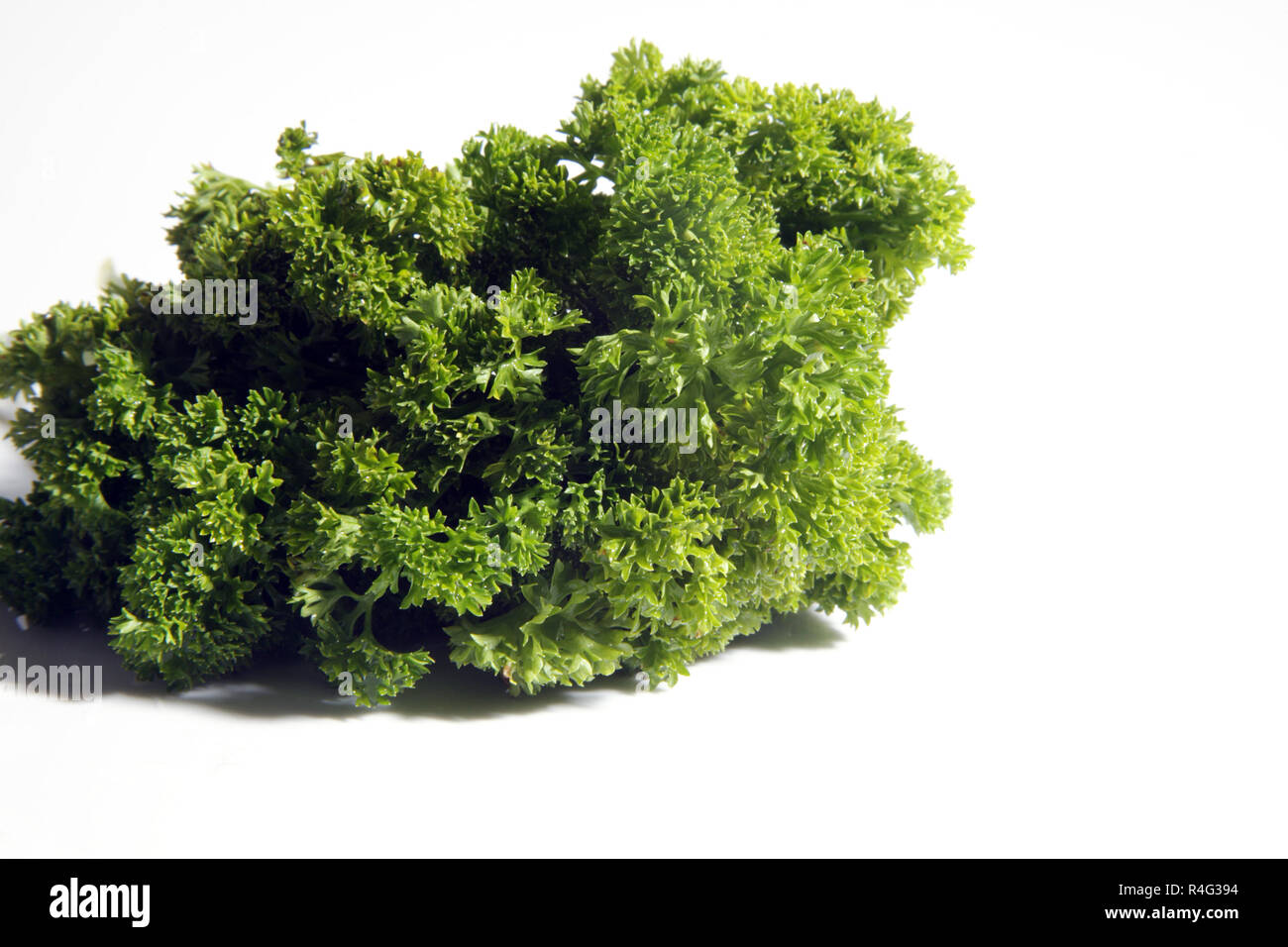 Fresh green parsley Stock Photo - Alamy