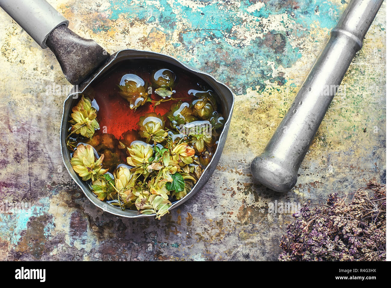 Infusion hop hi-res stock photography and images - Alamy