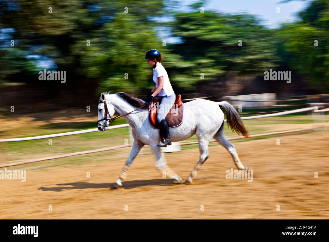 female rider trains the horse in the riding course Stock Photo - Alamy