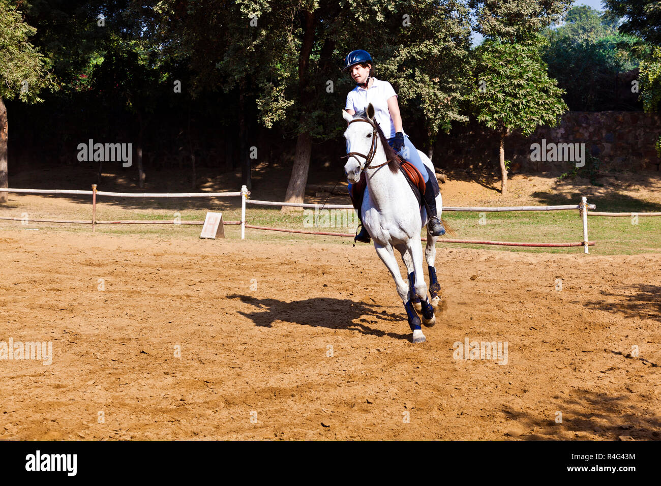 female rider trains the horse in the riding course Stock Photo - Alamy