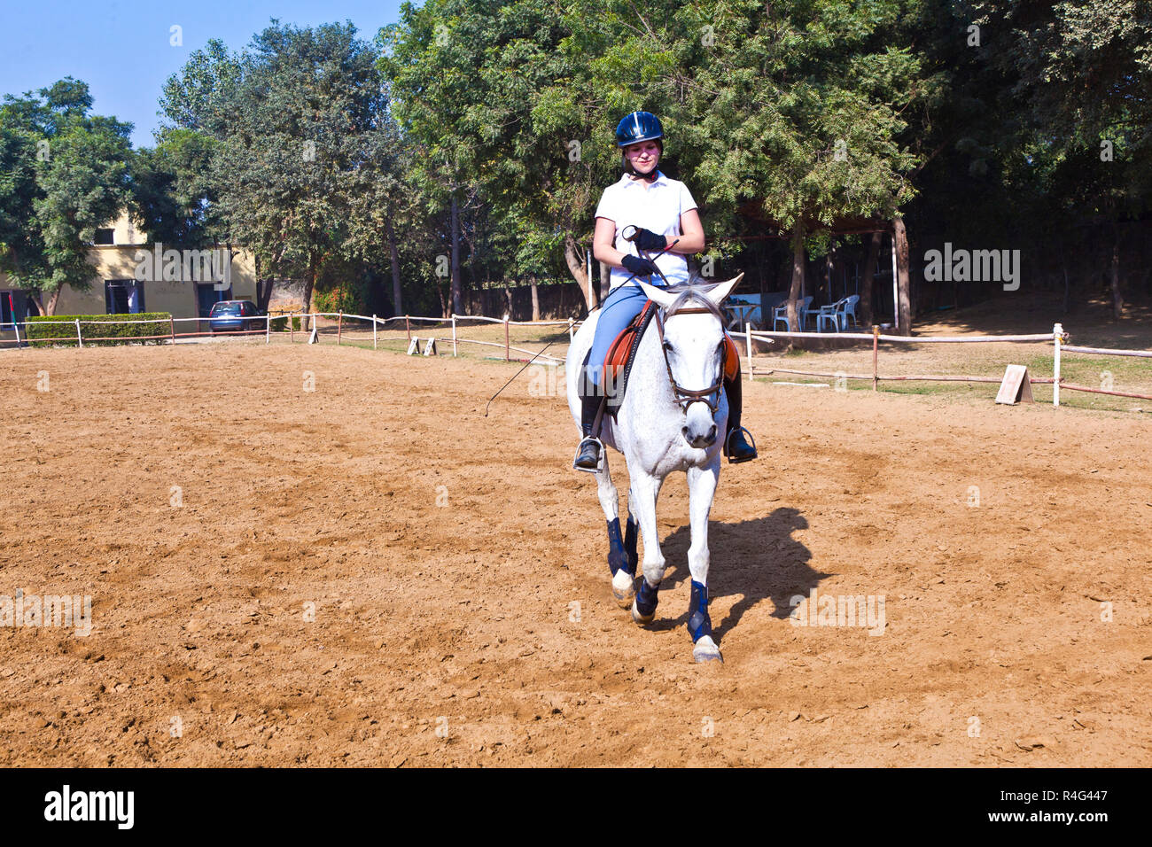 female rider trains the horse in the riding course Stock Photo - Alamy