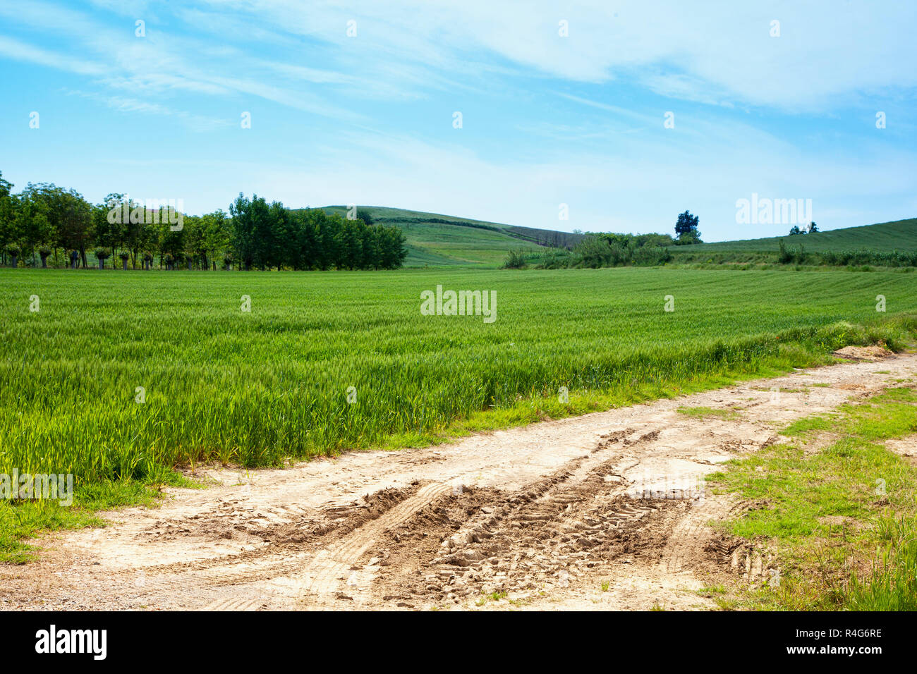 Field and hills Stock Photo - Alamy