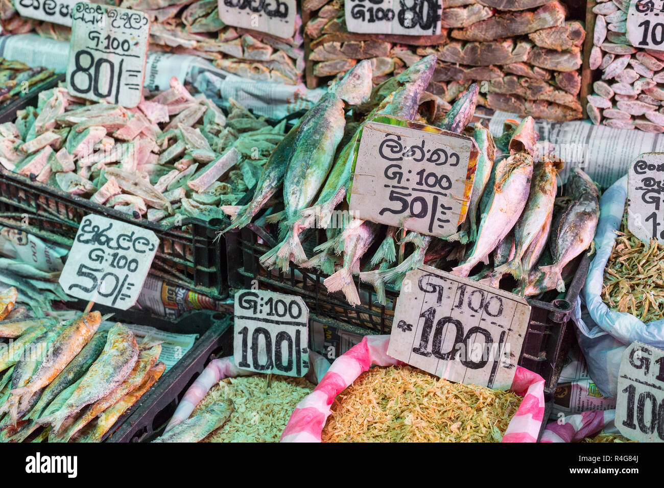 Dried Fishes In Sri Lanka Fish Market Stock Photo - Alamy