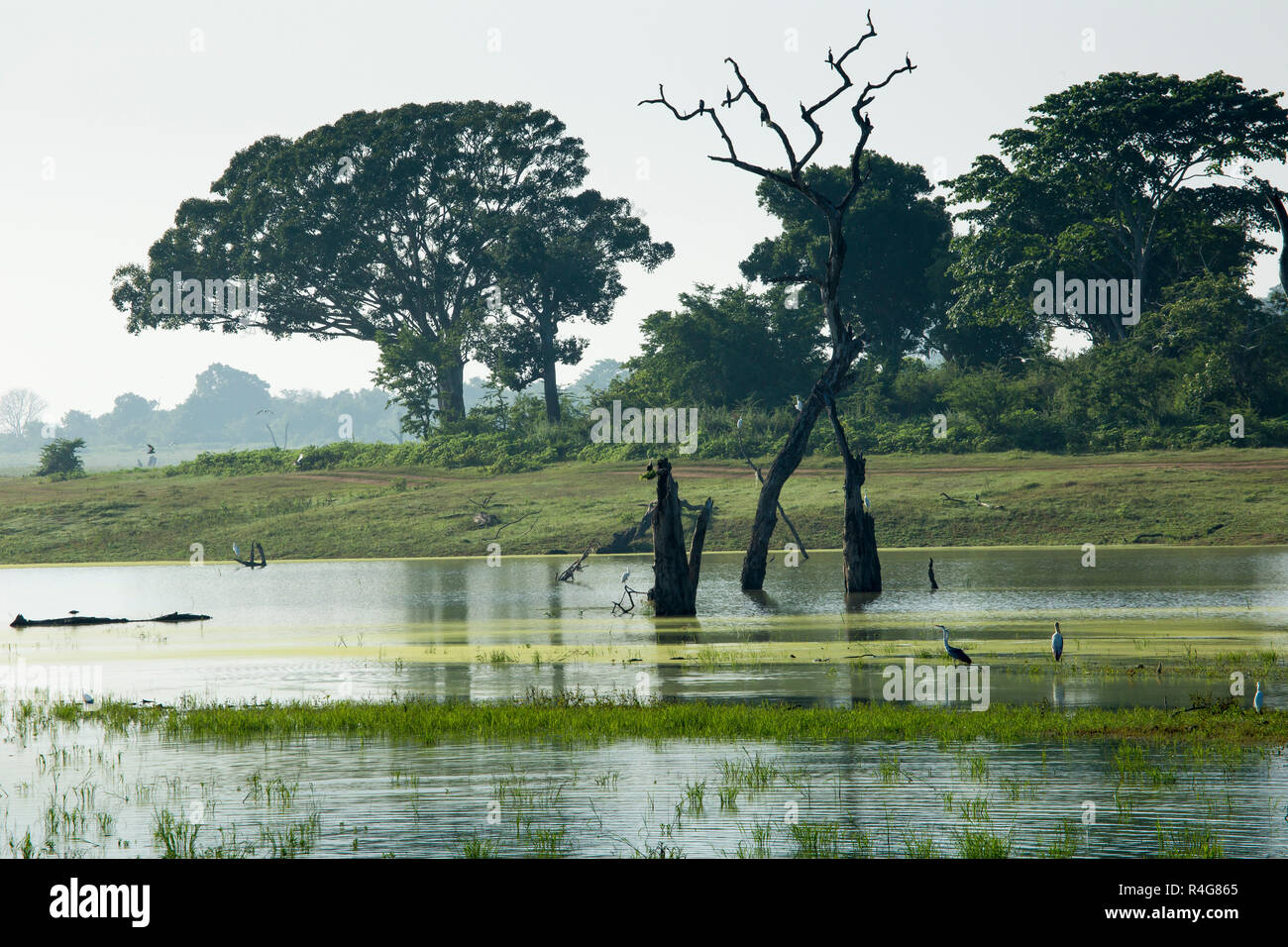 Uda river hi-res stock photography and images - Alamy