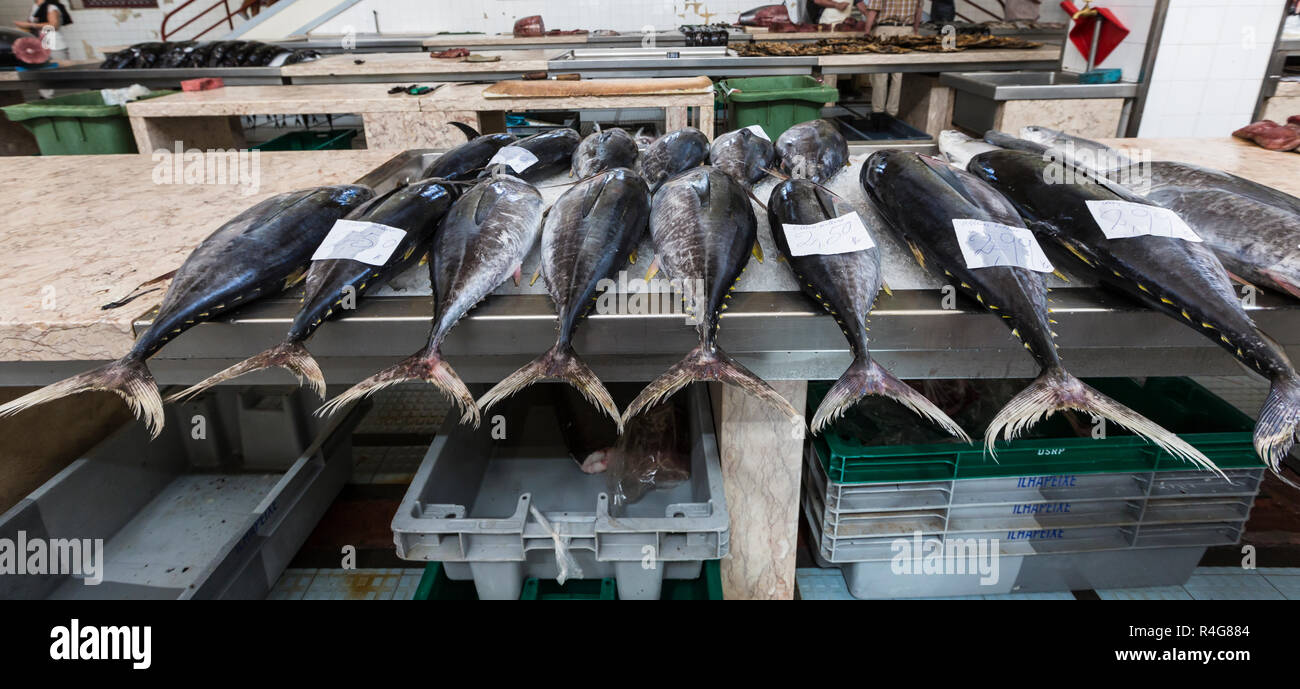 Fish market in Funchal, Madeira Stock Photo - Alamy