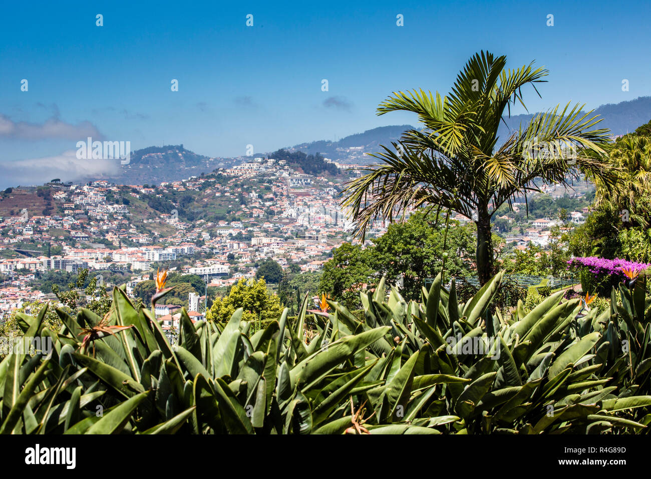 The capital of Madeira Island - Funchal city Stock Photo - Alamy