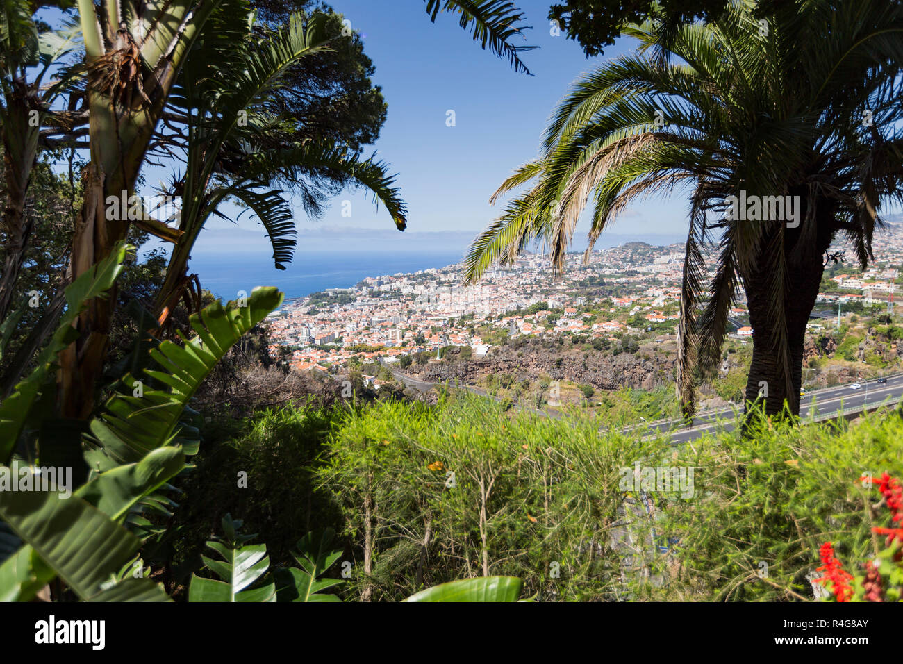 Madeira town houses of Funchal - capital of Madeira, Portugal Stock ...