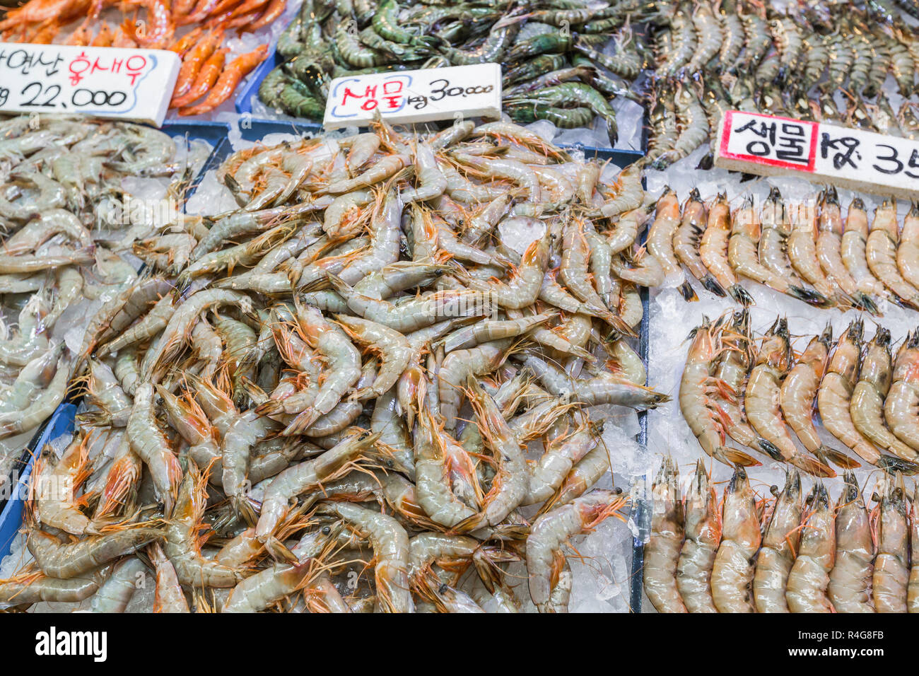 Noryangjin Fisheries Wholesale Market , Expansive wholesale & retail ...