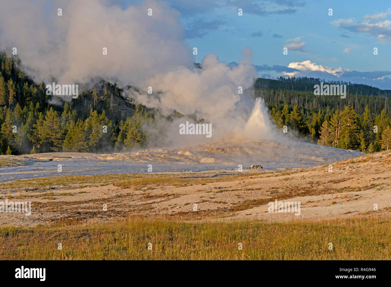 Old faithful eruption sunset hi-res stock photography and images - Alamy