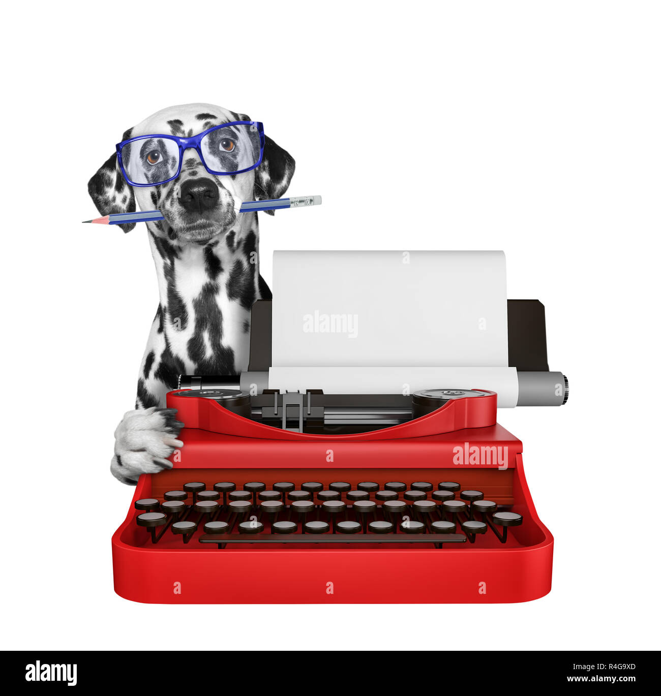 Dalmatian dog is typing on a typewriter keyboard. Isolated on white ...