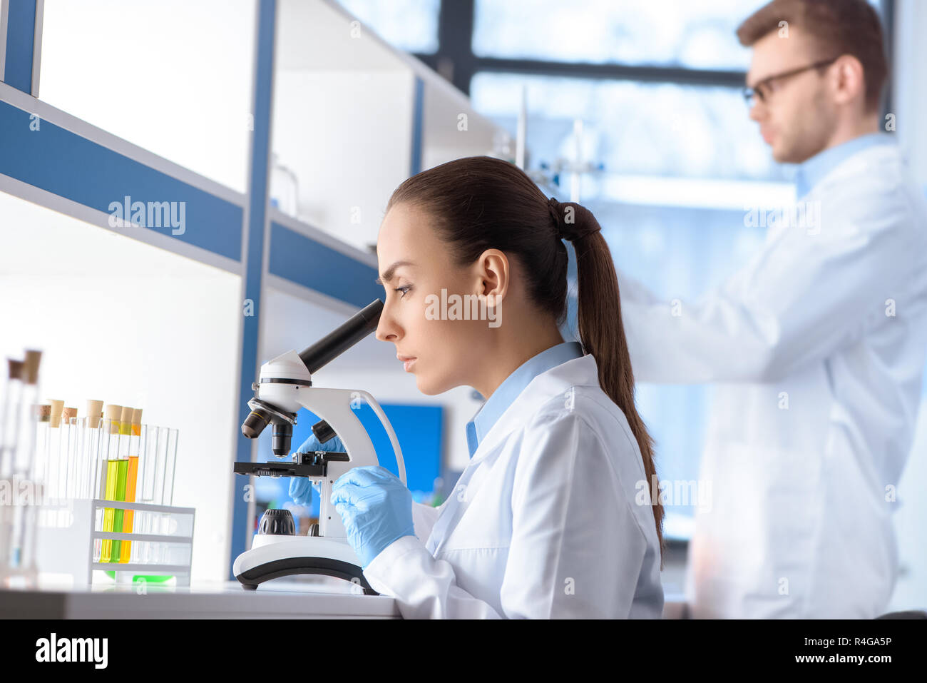 side view of scientist looking through microscope near colleague in ...
