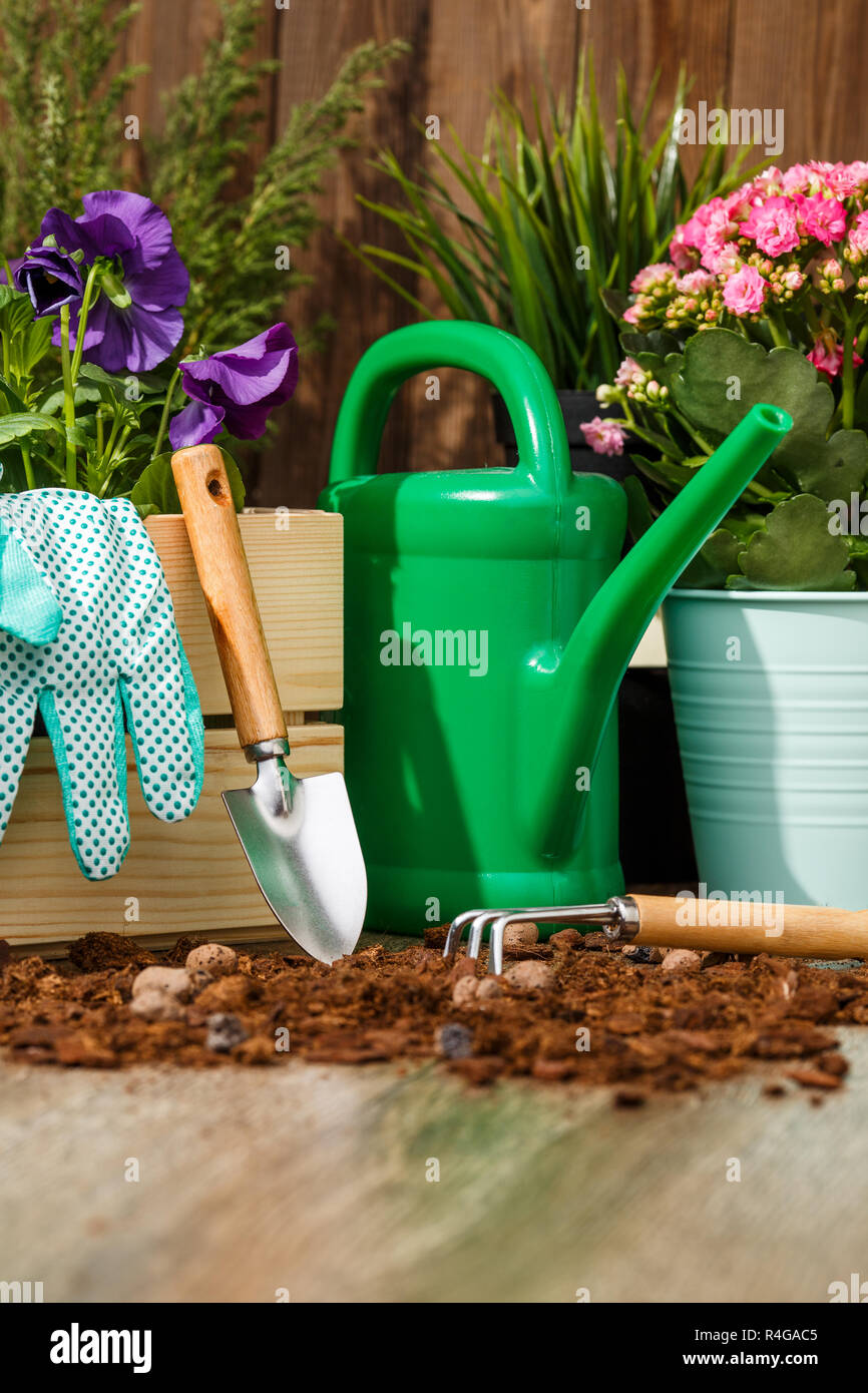 Gardening tools and flowers Stock Photo - Alamy