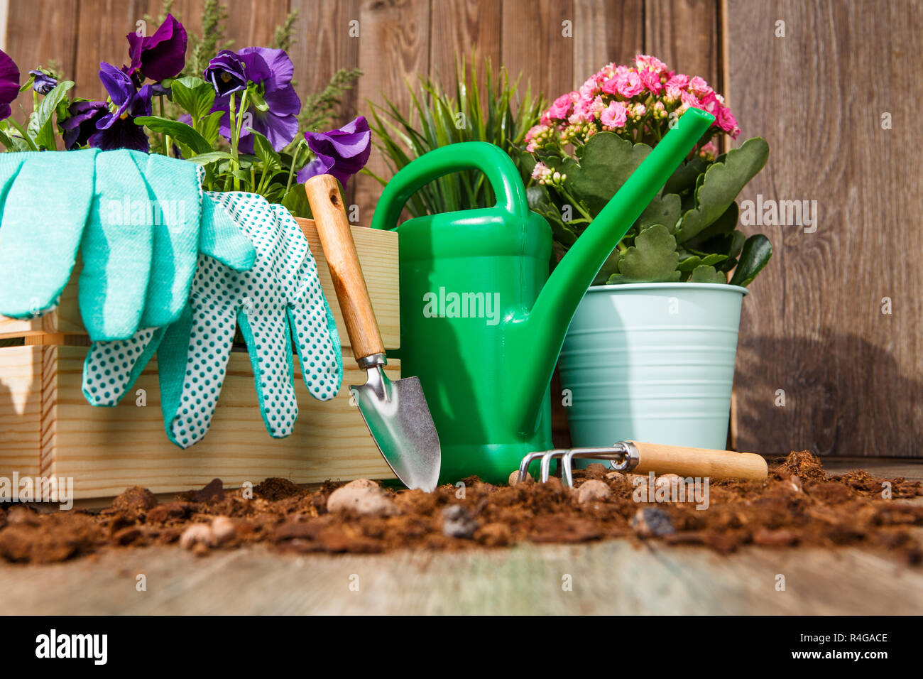 Gardening tools and flowers Stock Photo - Alamy