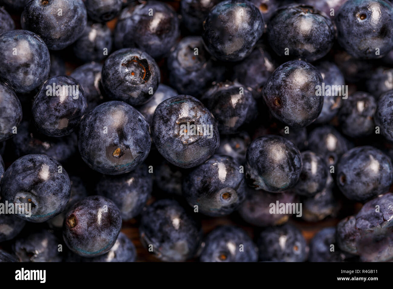 Freshly picked blueberries Stock Photo - Alamy